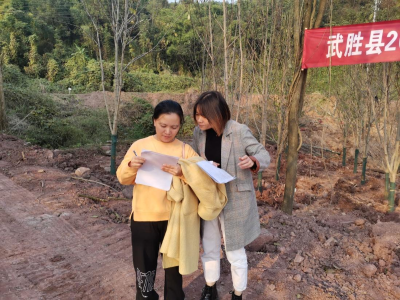 市林业局种苗站到武胜县开展造林苗木质量抽查 关注森林